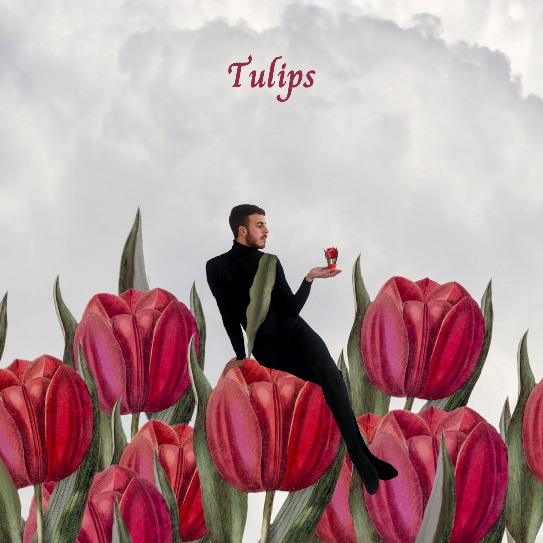 Tulips by Sami Assaf | Listen on Anghami, Spotify, Apple Music | PUSH.fm