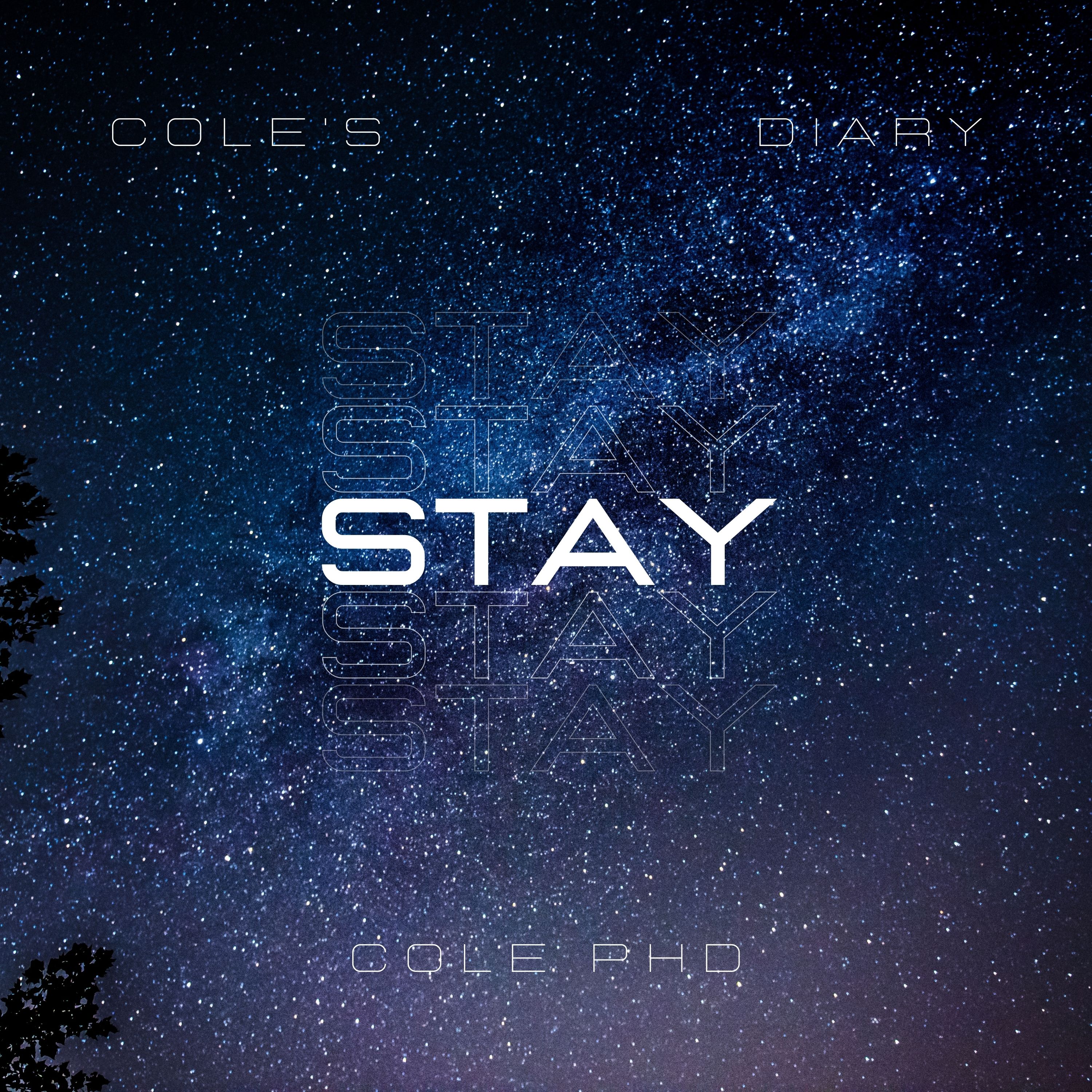 Stay by Cole PhD | Available 10 June 2022 | Pre-save on PUSH.fm