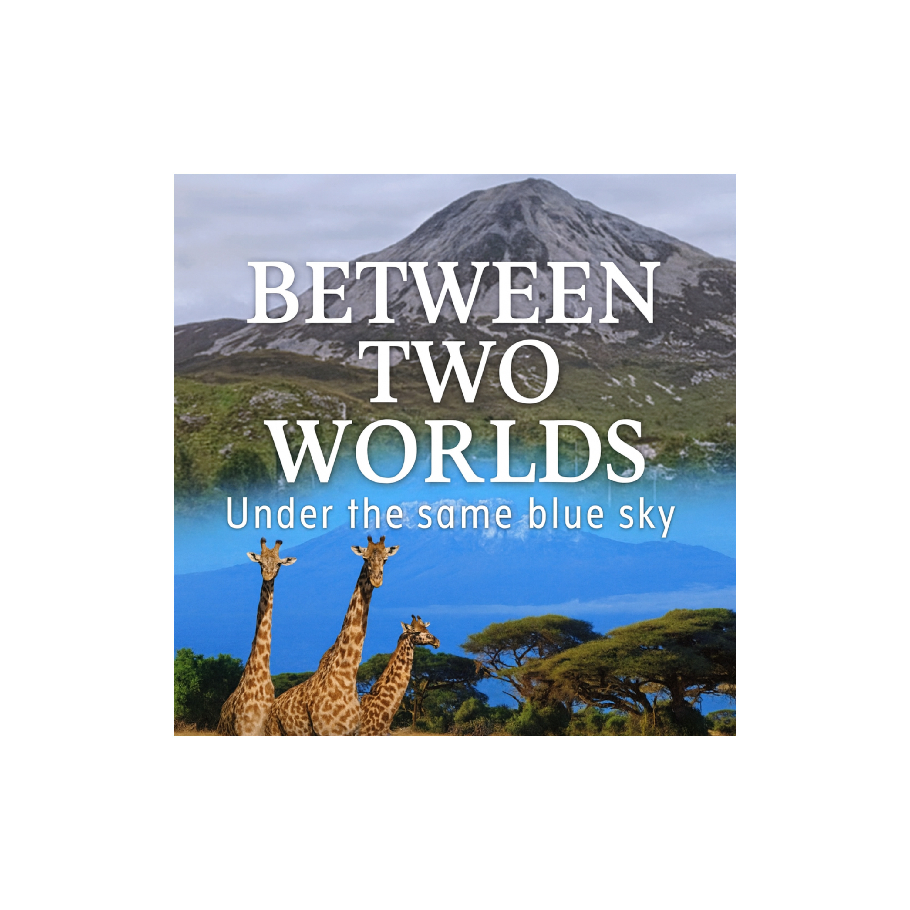 Buy Between Two Worlds by Bridget Browne
