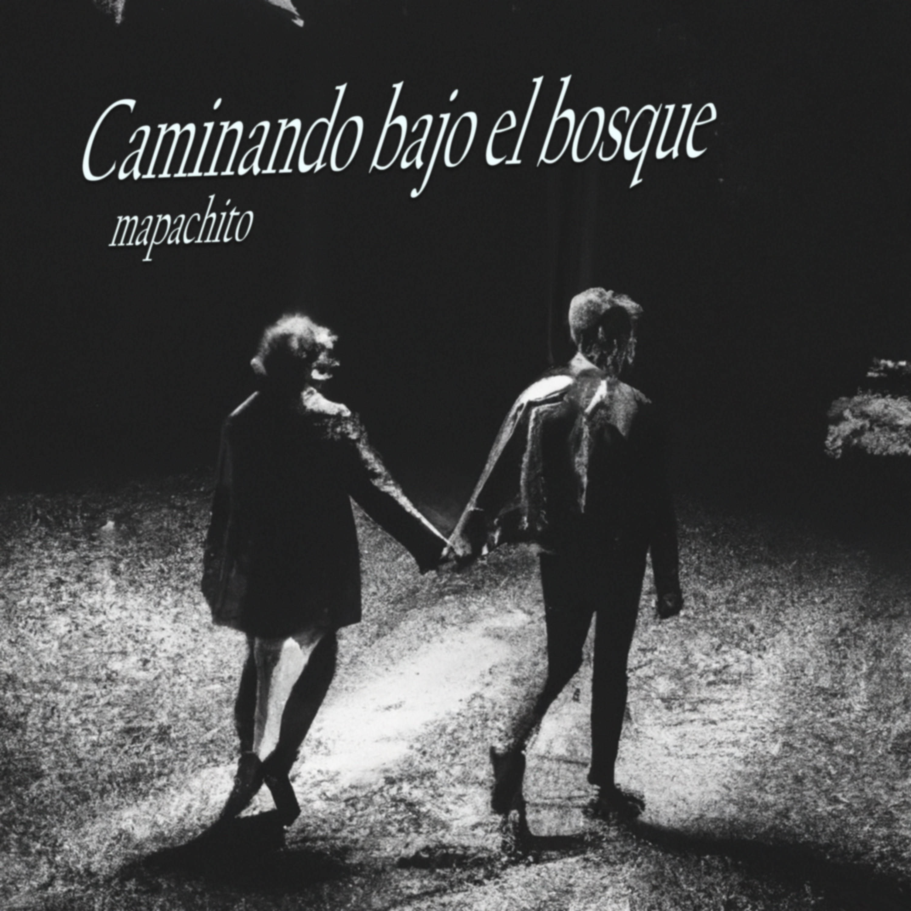 Caminando Bajo El Bosque by Mapachito | Available 08 August 2023 | Pre ...