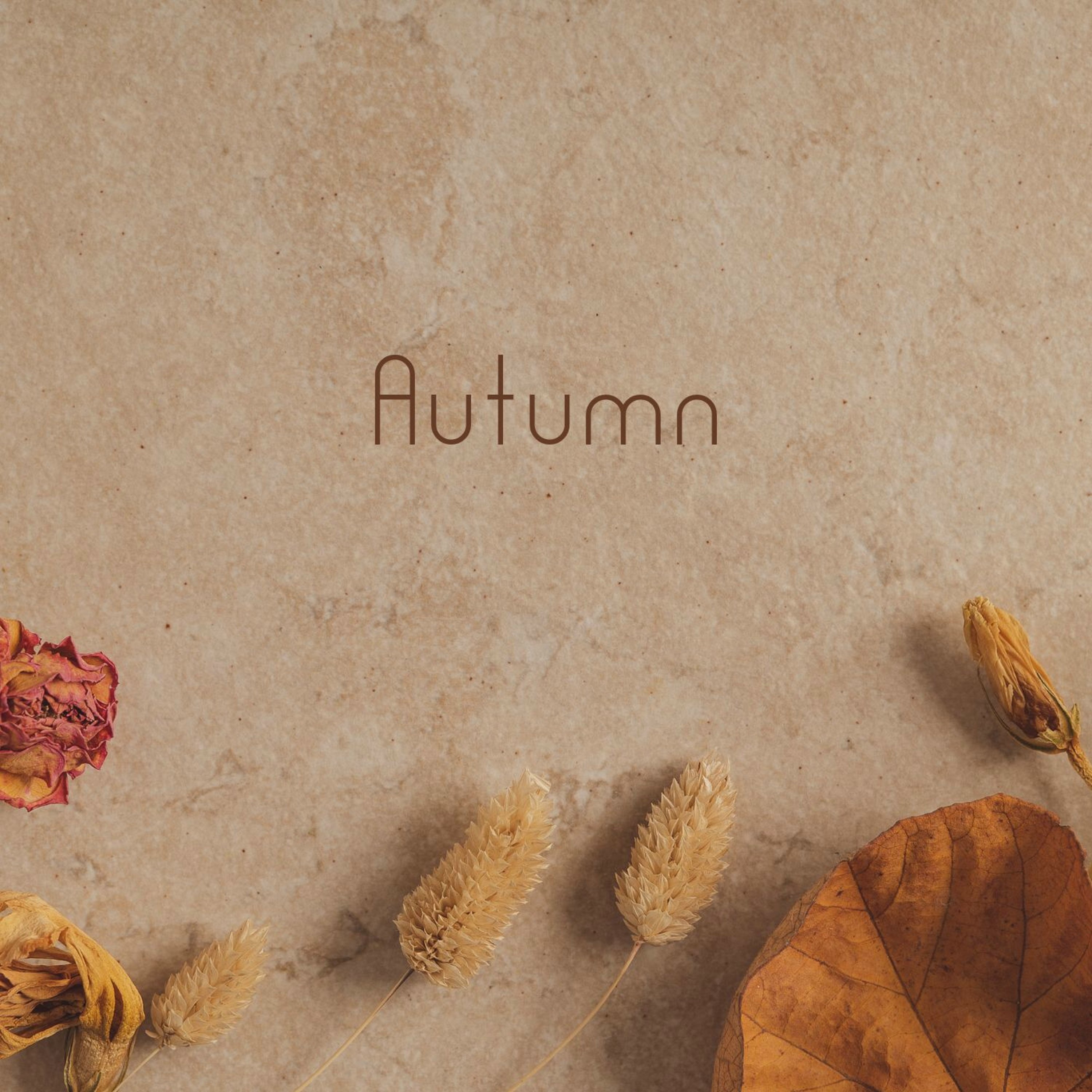 Autumn by Sleeping Key | Available 19 October 2023 | Pre-save on PUSH.fm