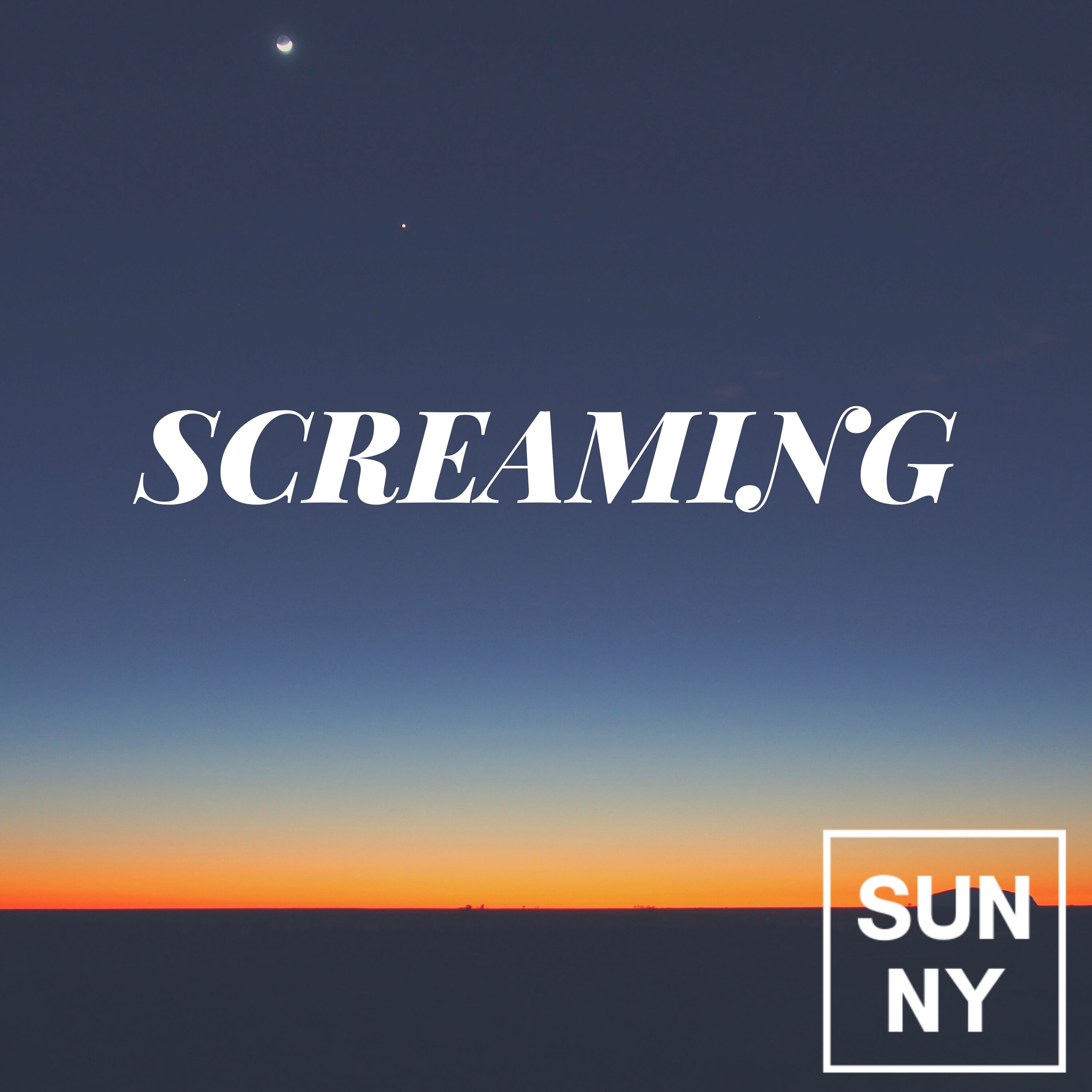 Screaming by Sunny & DJ Benedict | Available 18 September 2020 | Pre ...
