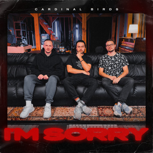 I'm Sorry by Cardinal Birds | Available 24 April 2024 | Pre-save on PUSH.fm